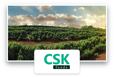 CoSkin – Planejamento Empresarial